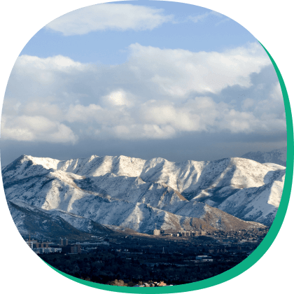 About Us | Scientia Vascular